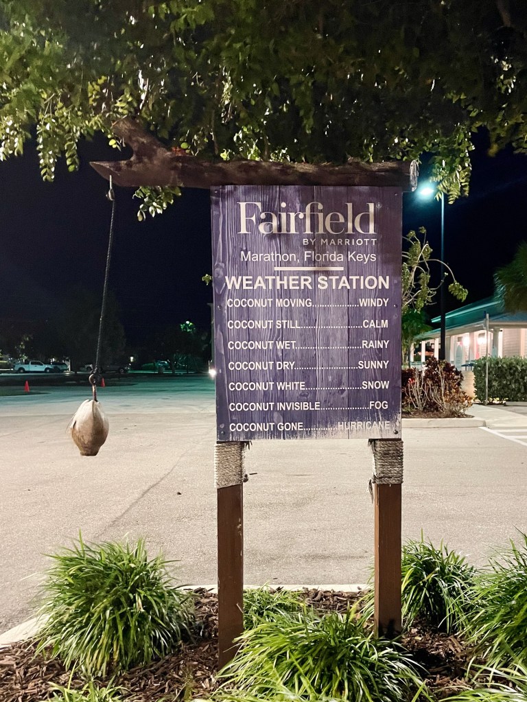 Florida Keys Road Trip: 10 Essential Stops on the Overseas Highway ...