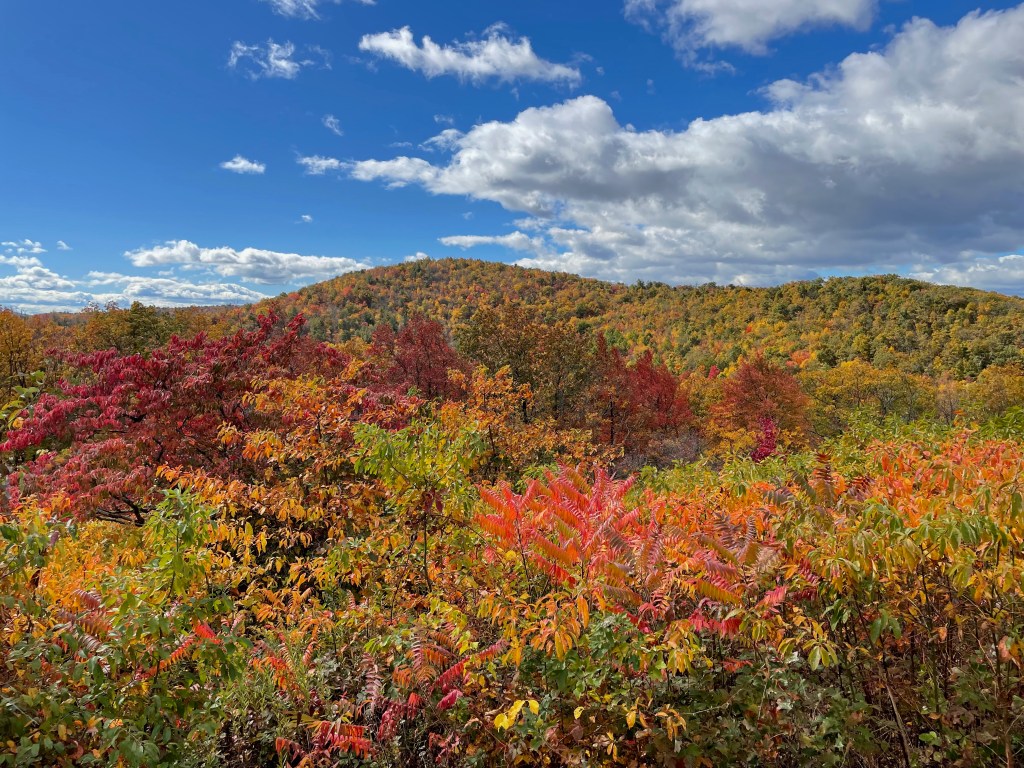 10 Incredible Places to See Fall Foliage in Virginia – Klara the Explorer