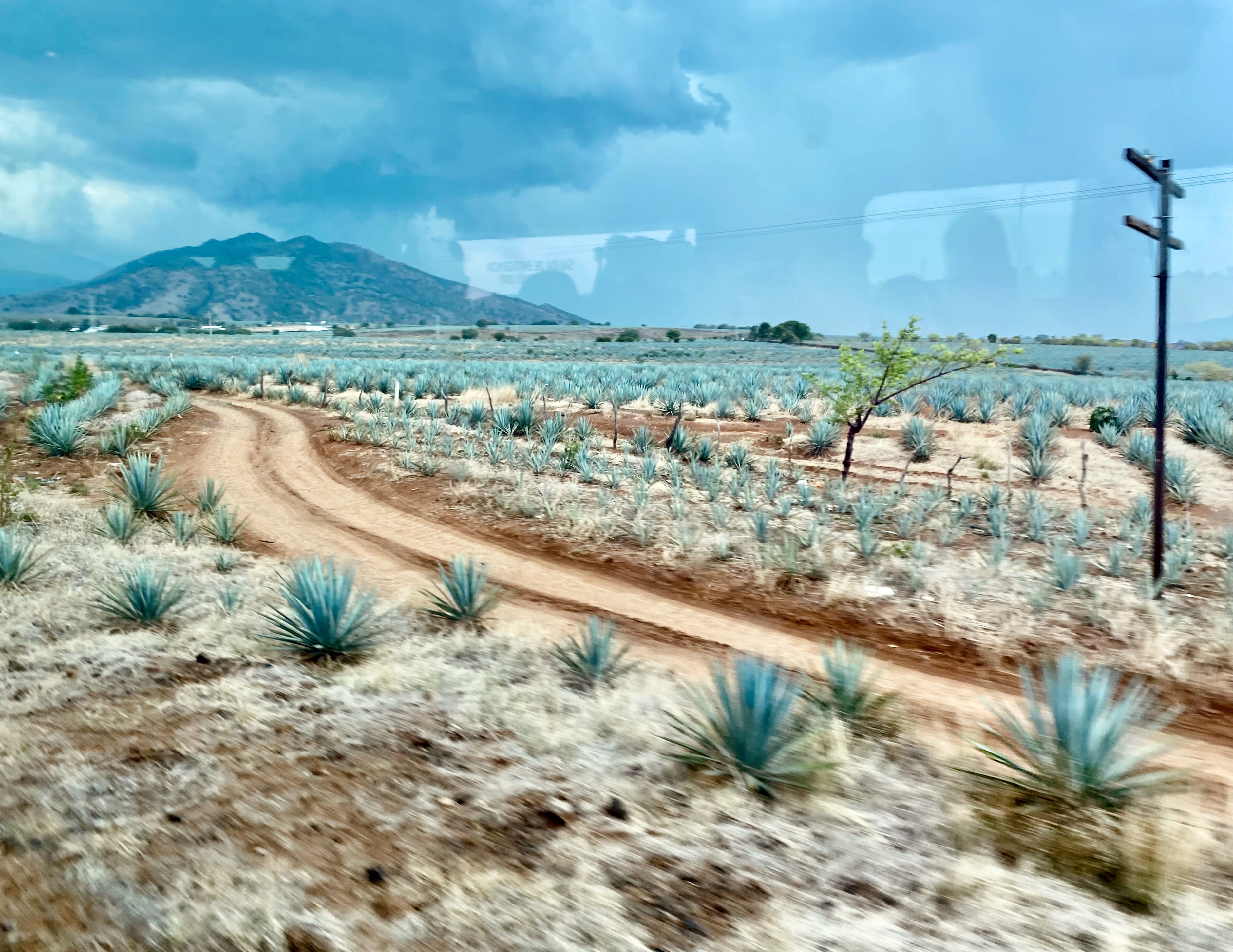 Mexico’s Tequila Train: Review of the José Cuervo Express – Klara the ...