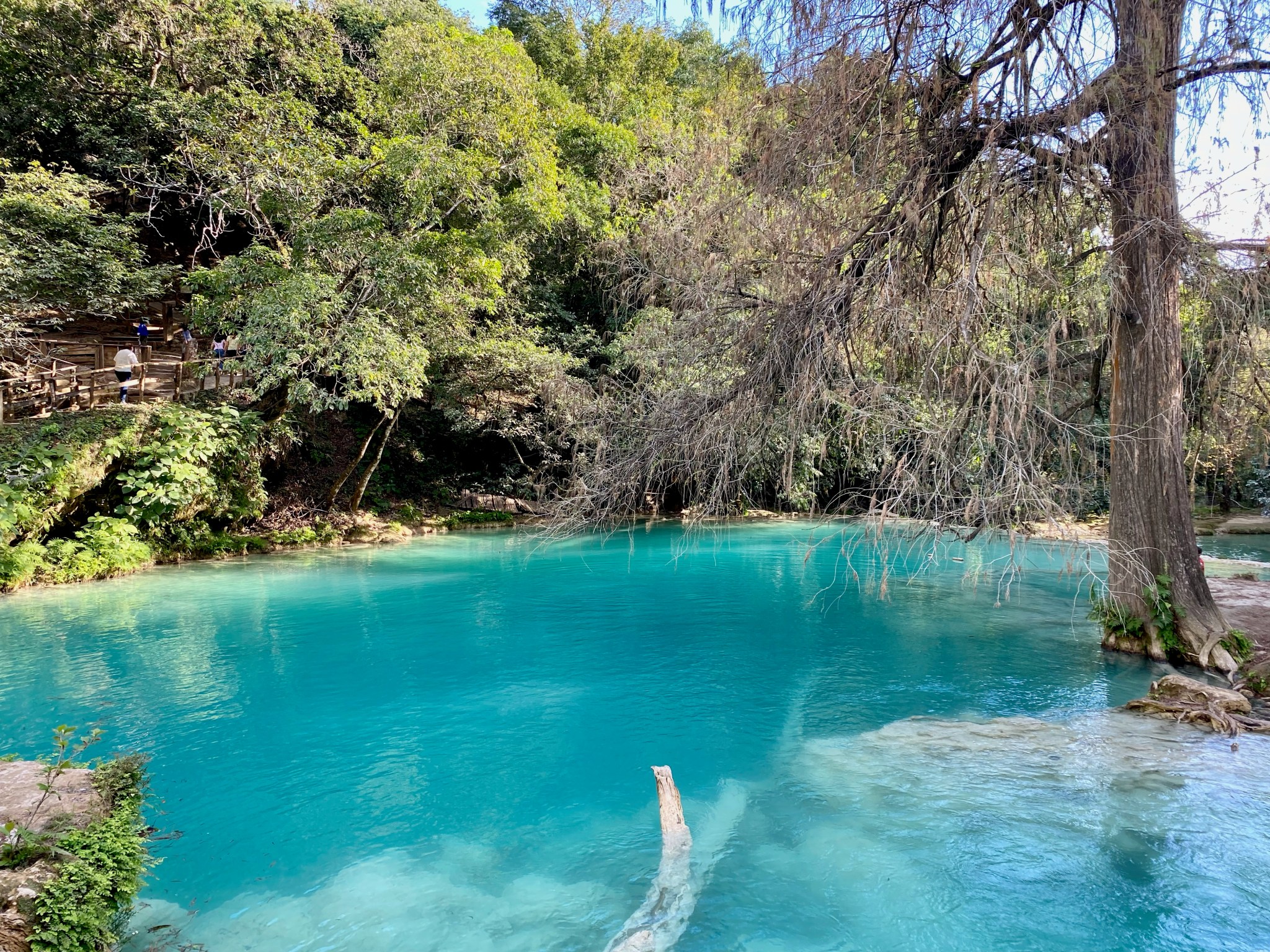 La Huasteca Potosina: Complete Guide to Mexico’s Waterfall Wonderland ...