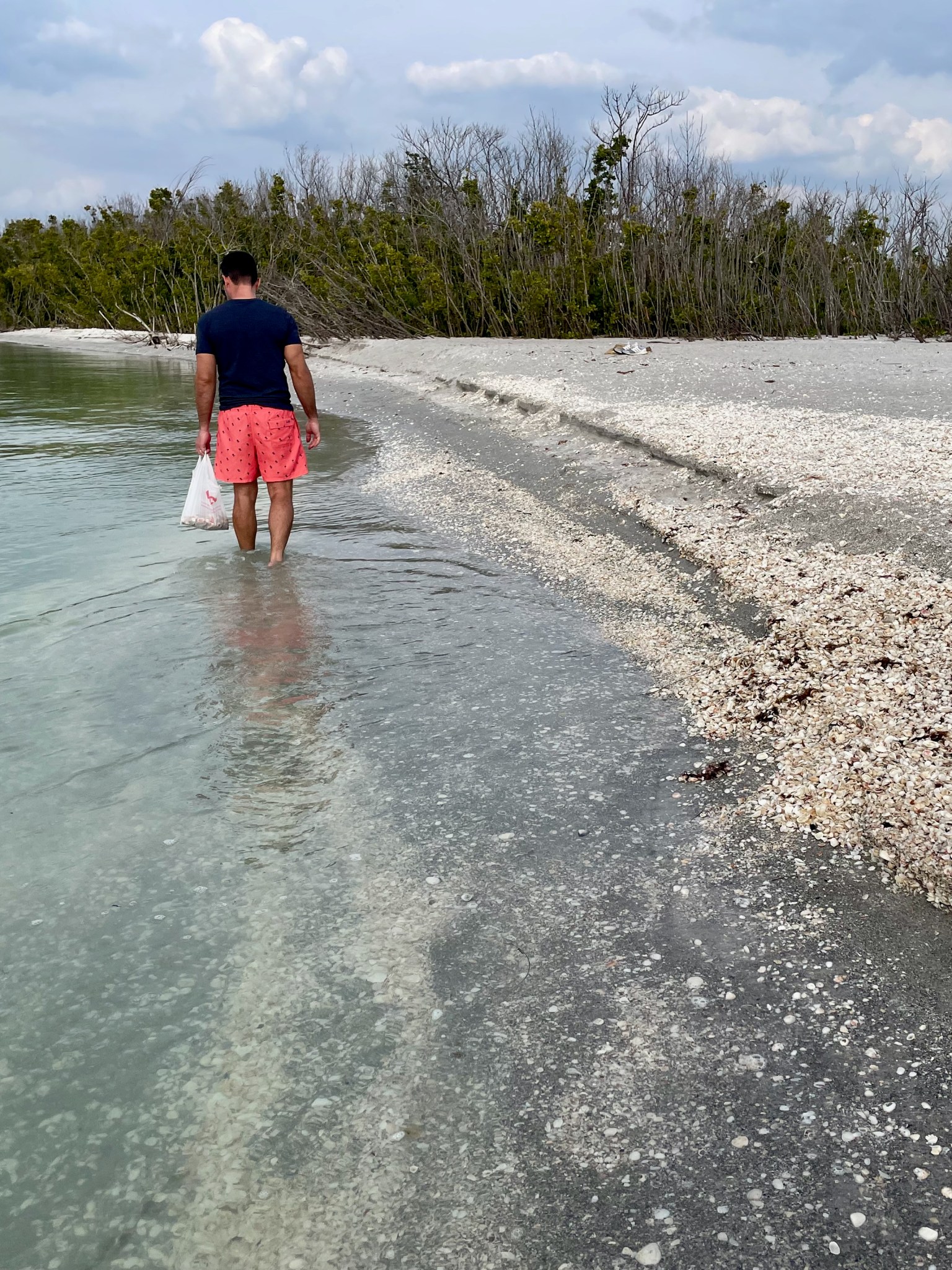 Top Shelling Beaches on the US East Coast – Klara the Explorer