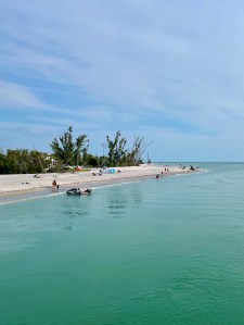 Top Shelling Beaches on the US East Coast – Klara the Explorer